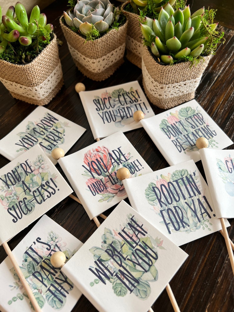 2026 Graduation Succulent Favors, Funny Plant and Grad Pun Tags With ...