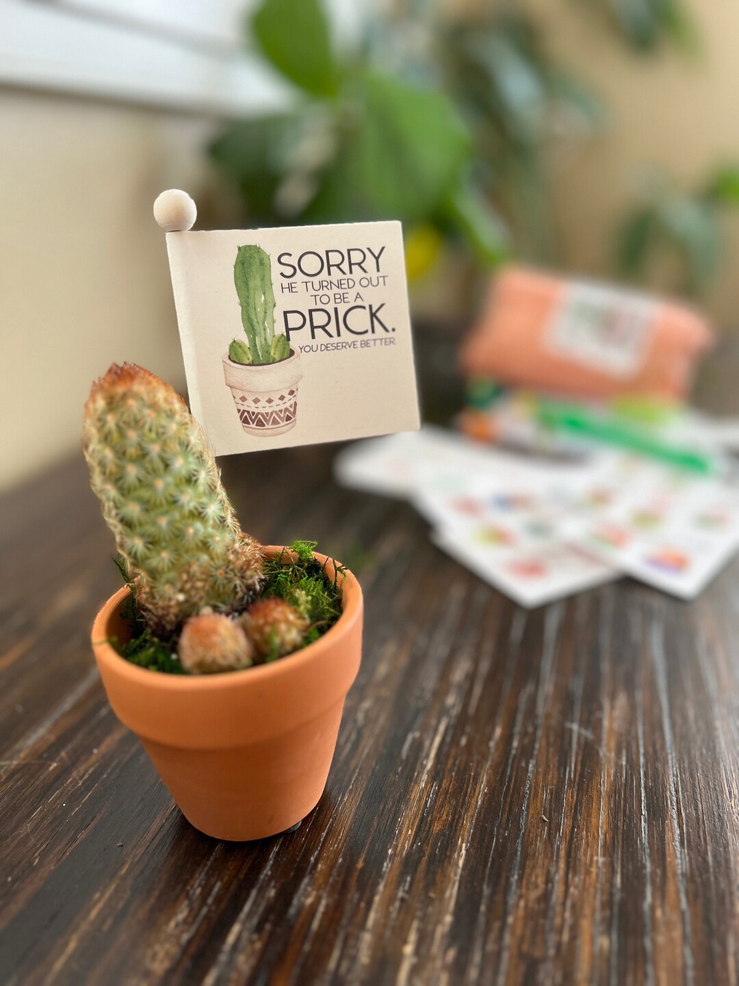 Sorry He Turned Out to Be a Prick, Cactus Pun Breakup Gift, Gift for ...
