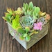 Succ-cess (success!) You Did It! Graduation Succulent Gift Arrangement ...