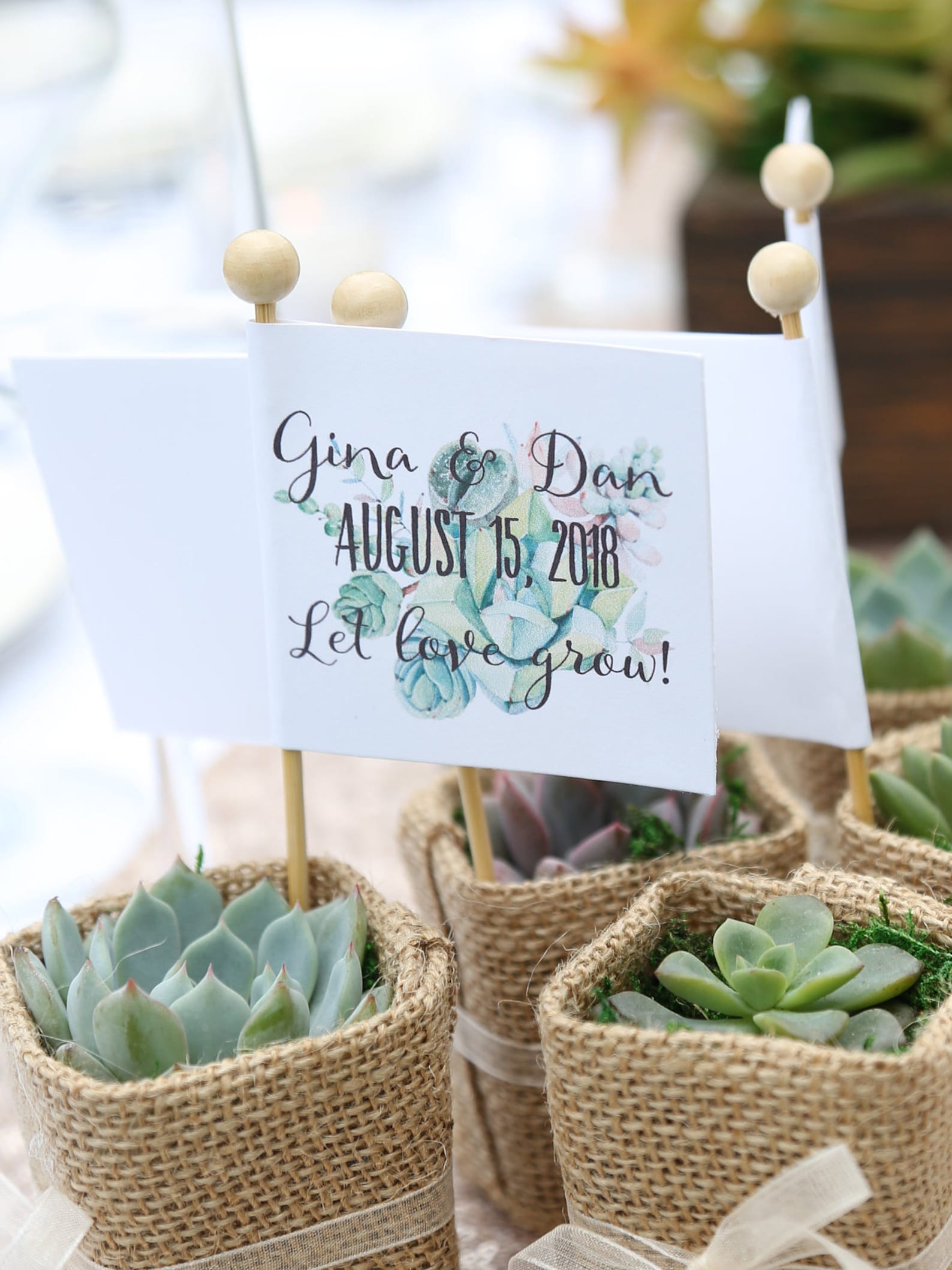 Wedding Favors Succulent Wedding Favors Customized Tags - Etsy