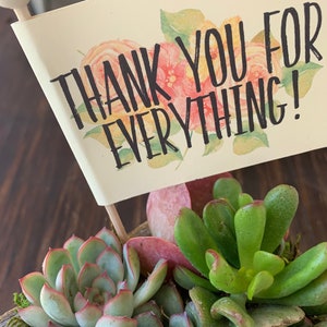 Thank You Succulent Arrangement, Thanks for Everything, Client Gift ...