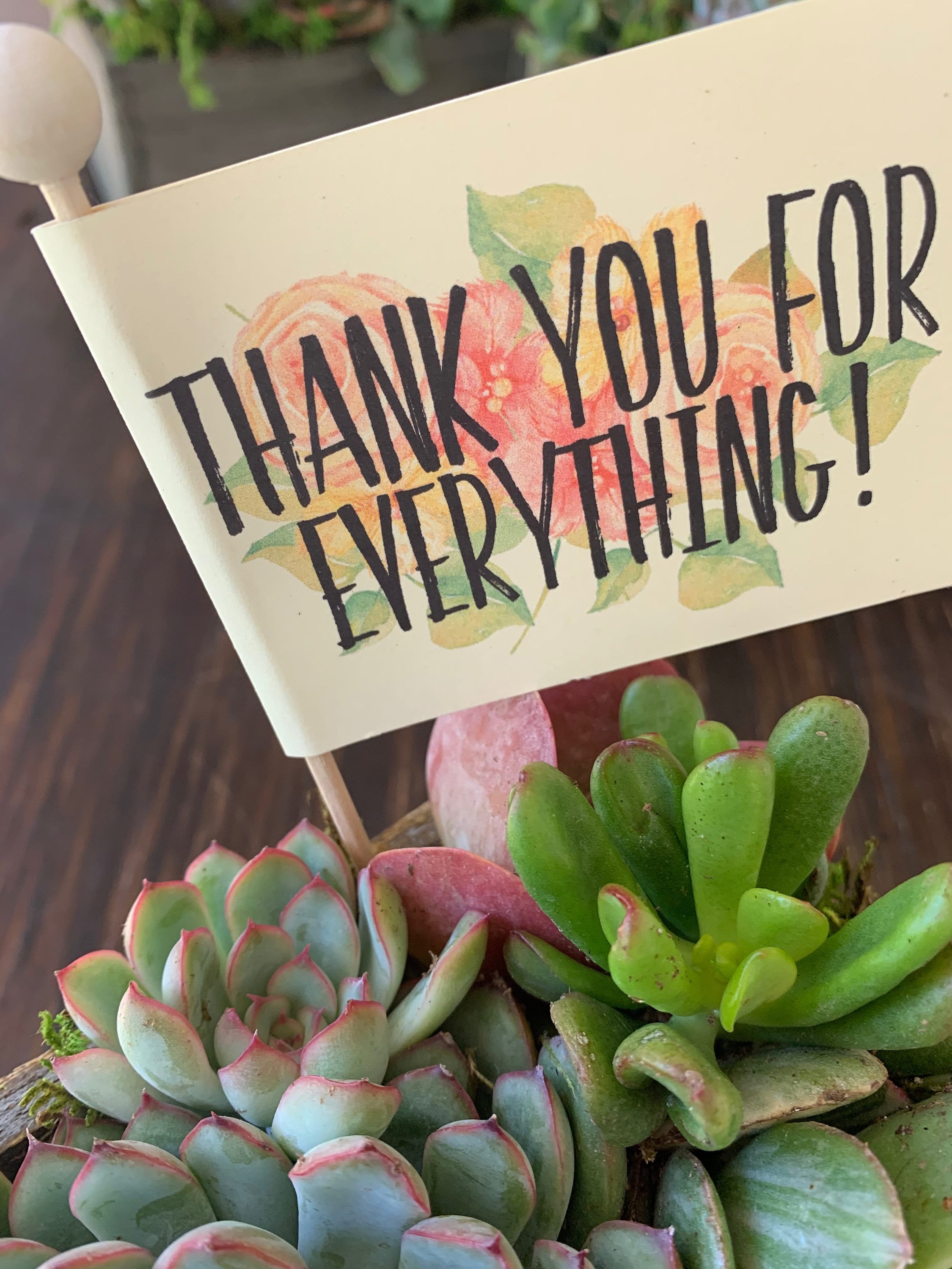 Thank You Succulent Arrangement, Thanks for Everything, Client Gift ...