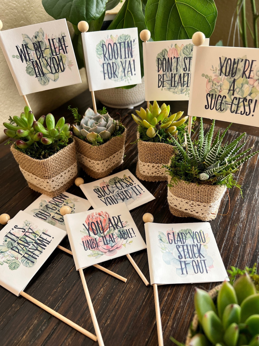 Graduation Succulent Favors Pun Tags, Burlap Wrap, Boho Grad Favors ...
