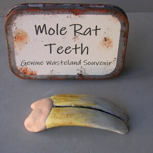 Fallout Cryptid Mole Rat Artifacts Teeth Claw in Custom Stash Box - Etsy