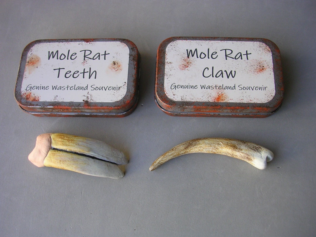 Fallout Cryptid Mole Rat Artifacts Teeth Claw in Custom Stash Box - Etsy