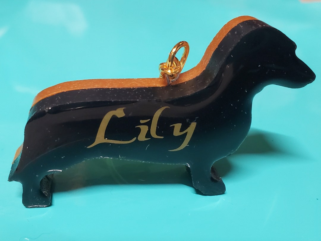 Personalized Wiener Dog Keychain - Dachshund Keychain Dual Color ...