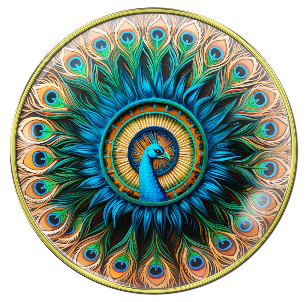 Recovery Chip | Recovery Medallion | Peacock Coin With Be Proud ...