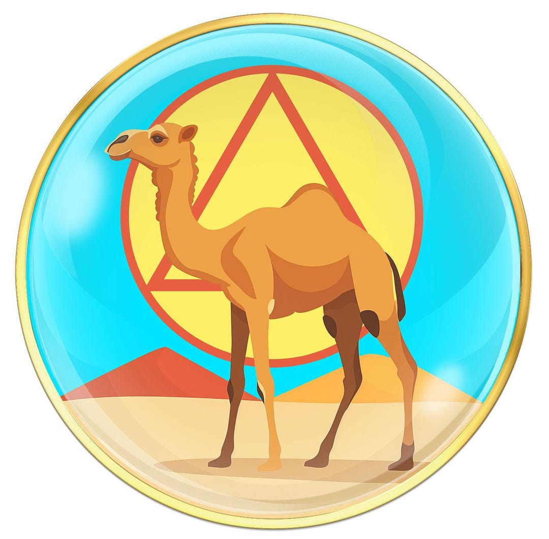 AA Recovery Chip - Camel - One Day at a Time - Etsy