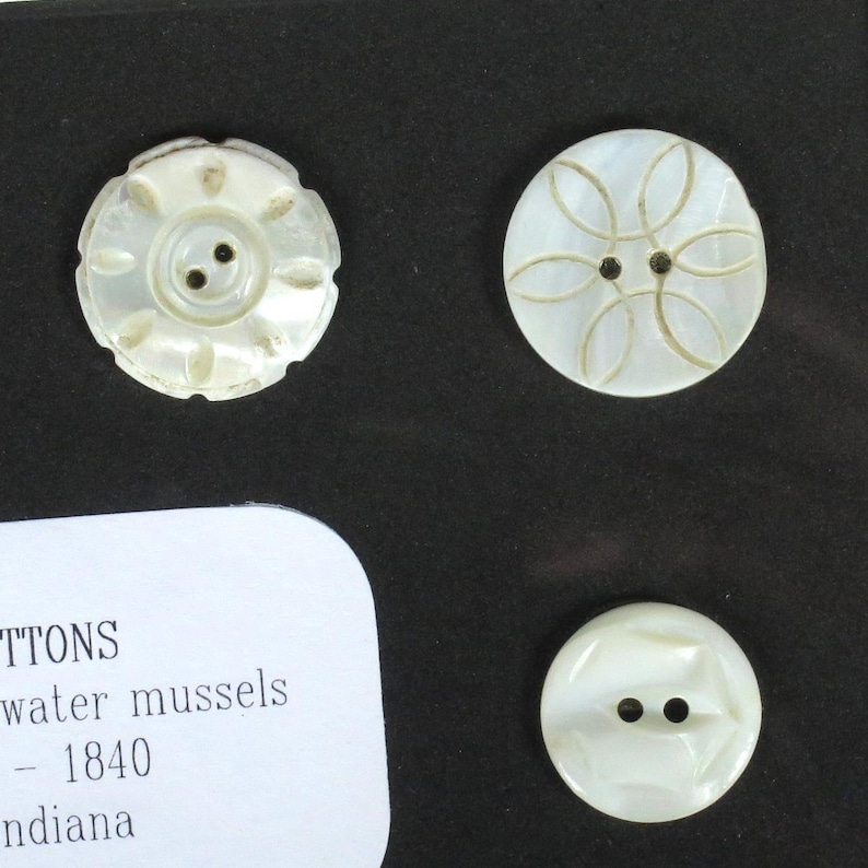 Antique mussel shell buttons framed collection vintage | Etsy