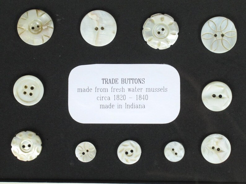 Antique mussel shell buttons framed collection vintage | Etsy