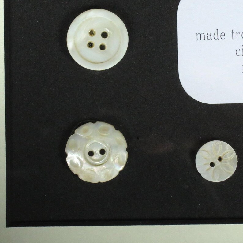Antique mussel shell buttons framed collection vintage | Etsy