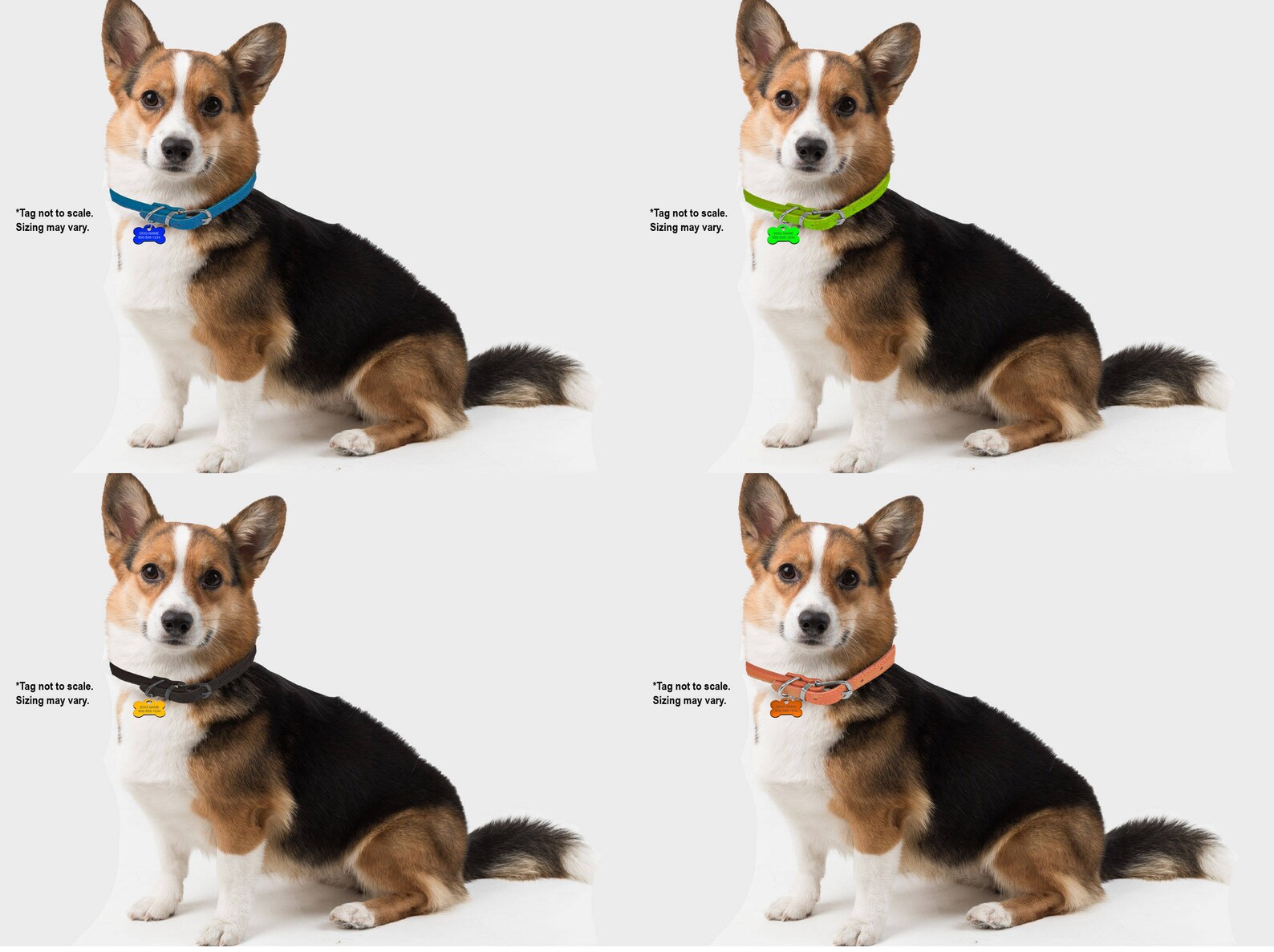 Designer Leather Dog Collar W/ Custom Personalized Engraved ID - Etsy