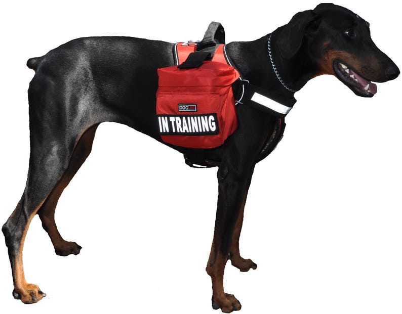 Personalized Dog Harness With Removable Side Bags W/ Custom - Etsy