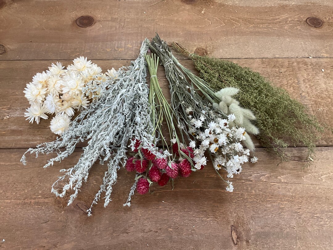 DIY - Dried Flower Kit - Etsy Canada