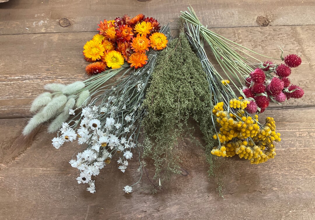 DIY Dried Flower Kit - Etsy