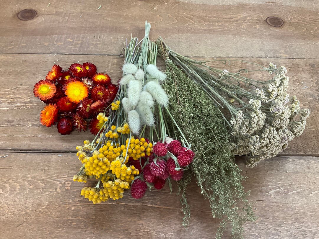 DIY Dried Flower Kit - Etsy