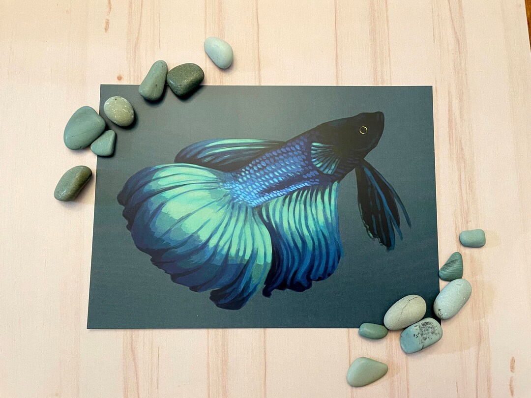Blue Betta Fish 5x7 Art Print - Etsy