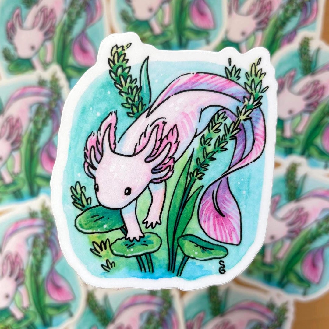 Axolotl Vinyl Sticker - Etsy