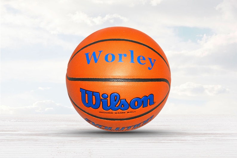 Customized Personalized Wilson Evolution Indoor Official Size 29.5 ...