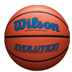 Customized Personalized Wilson Evolution Indoor Official Size 29.5 ...