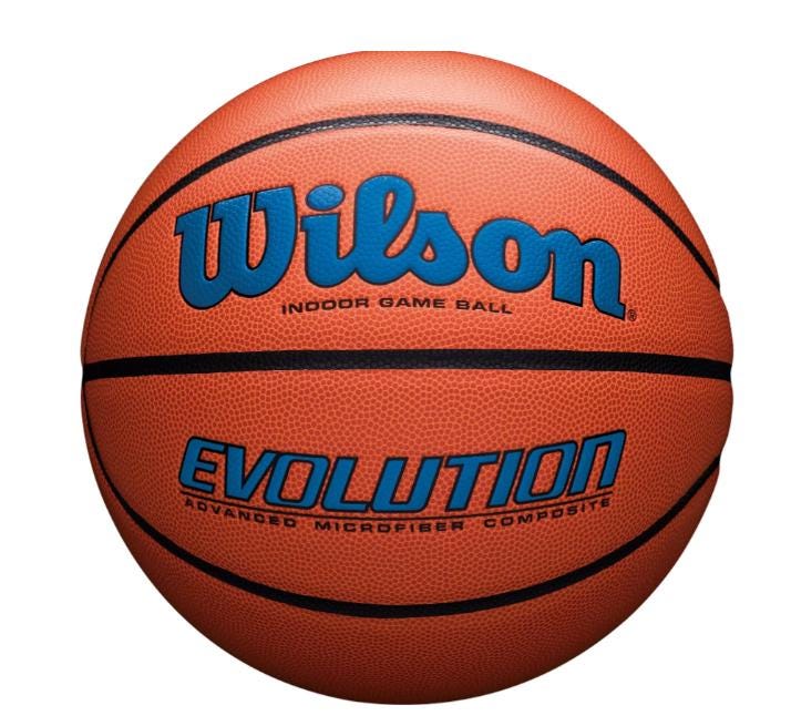 Customized Personalized Wilson Evolution Indoor Official Size 29.5 ...