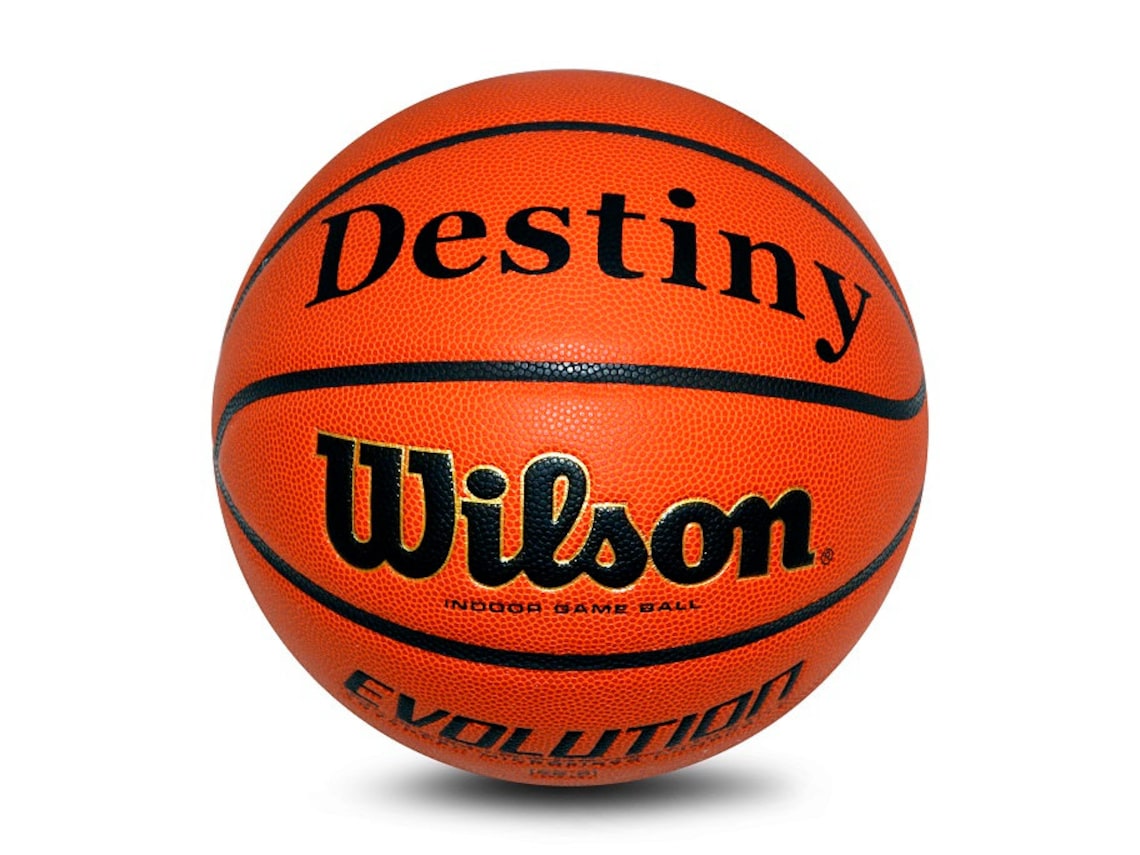 Customized Personalized Wilson Evolution Indoor Official Size - Etsy
