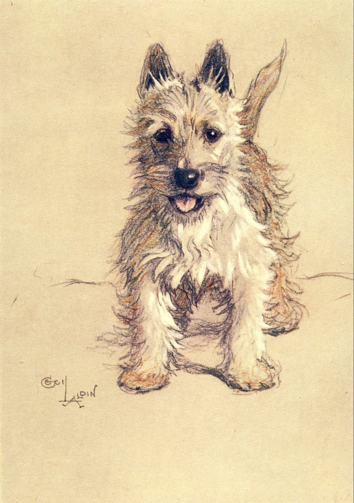 Cecil Aldin " A Dozen Dogs or so 1928 " Vintage Reproduction Photo ...