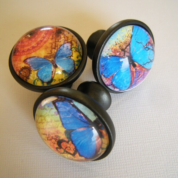 Insect Drawer Knobs - Etsy