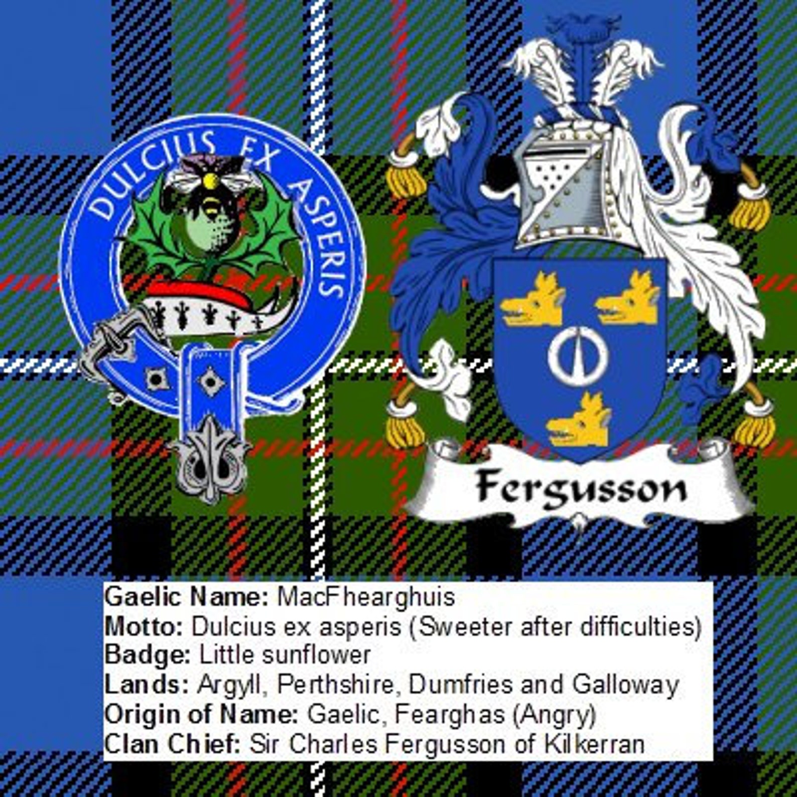 Set of 6 Scottish Clan & Crest Coat of Arms Details Tartan | Etsy