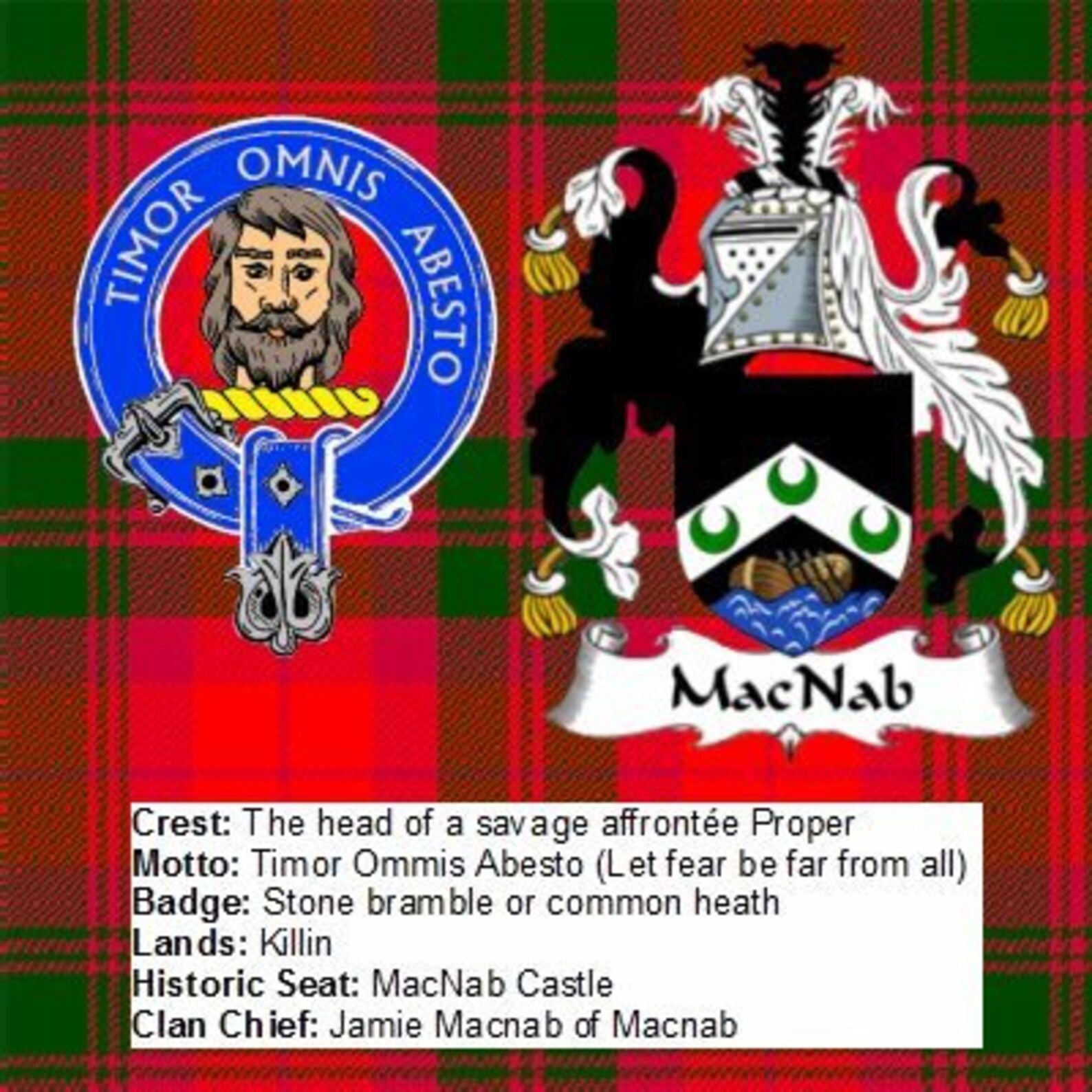 Set of 6 Scottish Clan & Crest Coat of Arms Details Tartan | Etsy