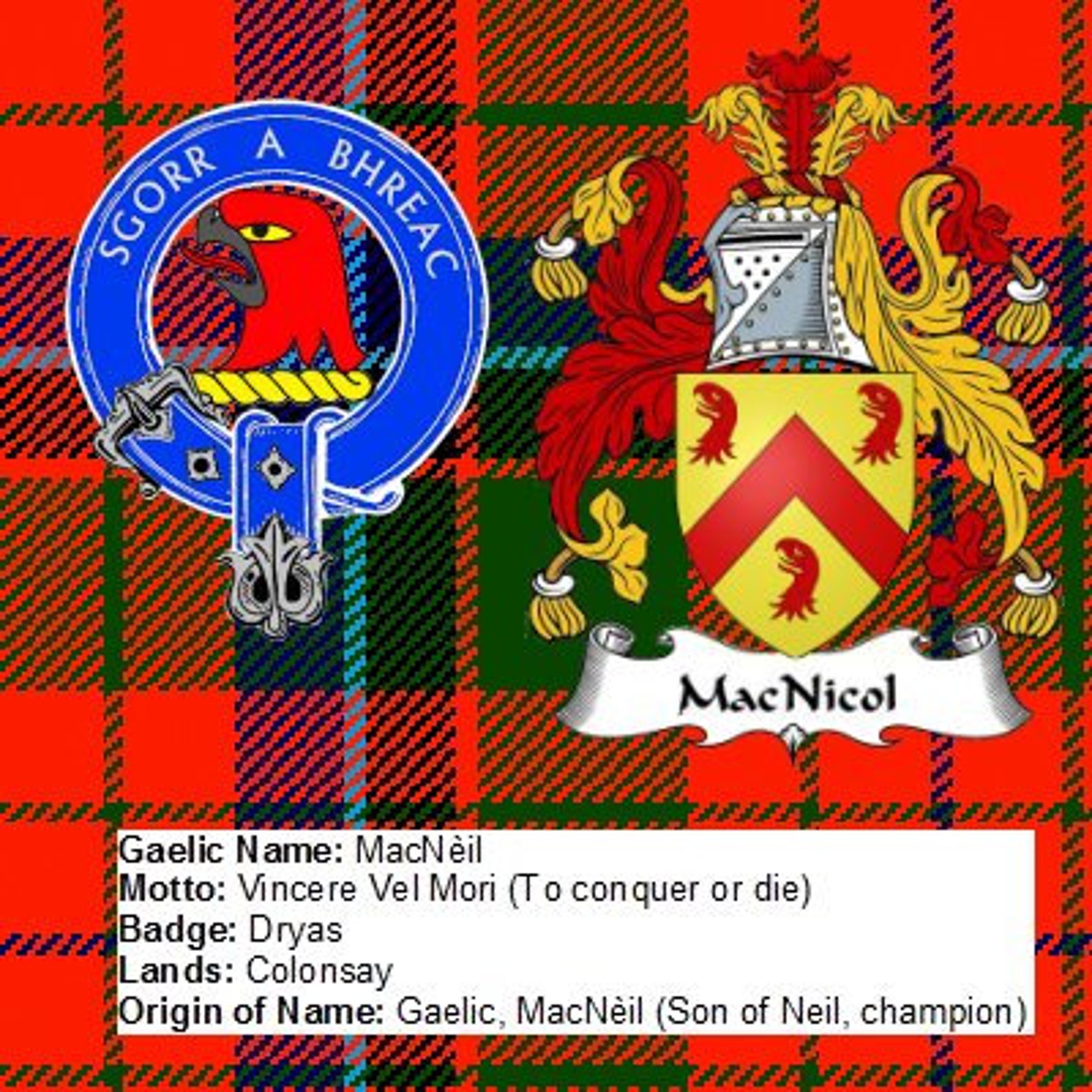 Set of 6 Scottish Clan & Crest Coat of Arms Details Tartan | Etsy