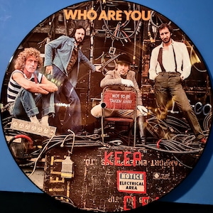 The Who, Vinyl Record Album, Picture Disc, RARE 1978 Picture Disc the ...