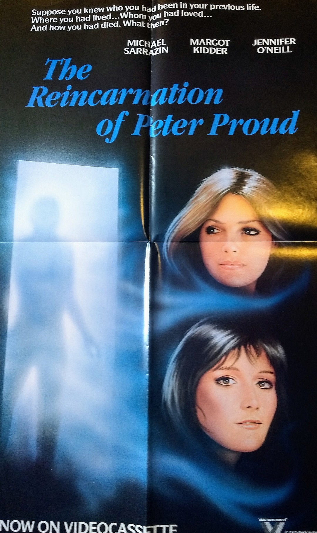 The Reincarnation of Peter Proud, Vintage 1985 Vestron Video Poster - Etsy