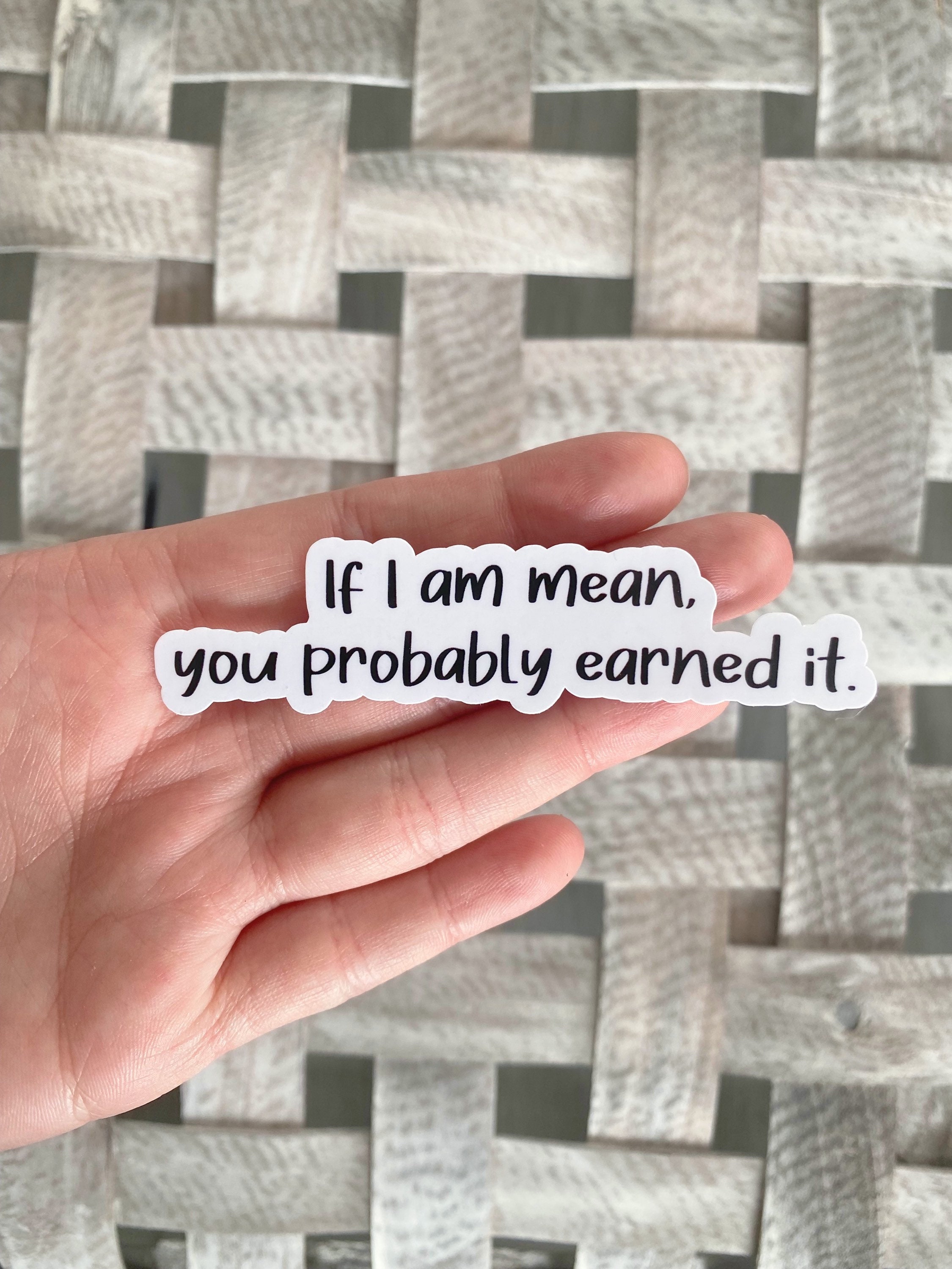 If I Am Mean You Probably Earned It Sticker / Water Resistant | Etsy