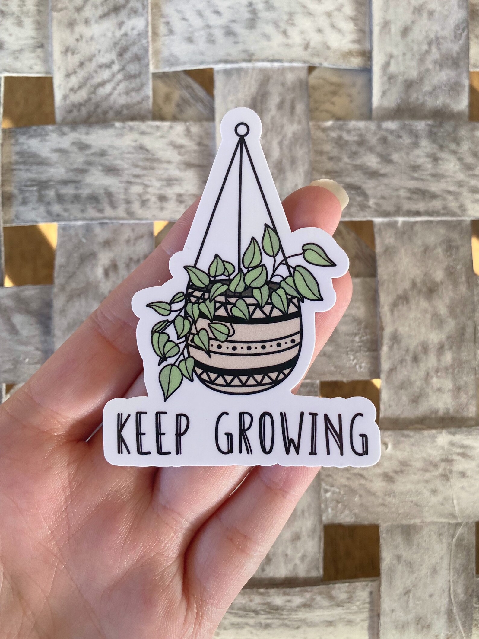 Plant Sticker Set / Water Resistant Vinyl Sticker / Set of 5 - Etsy