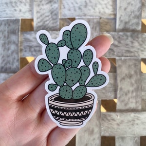 Plant Sticker Set / Water Resistant Vinyl Sticker / Set of 5 Boho Plant ...