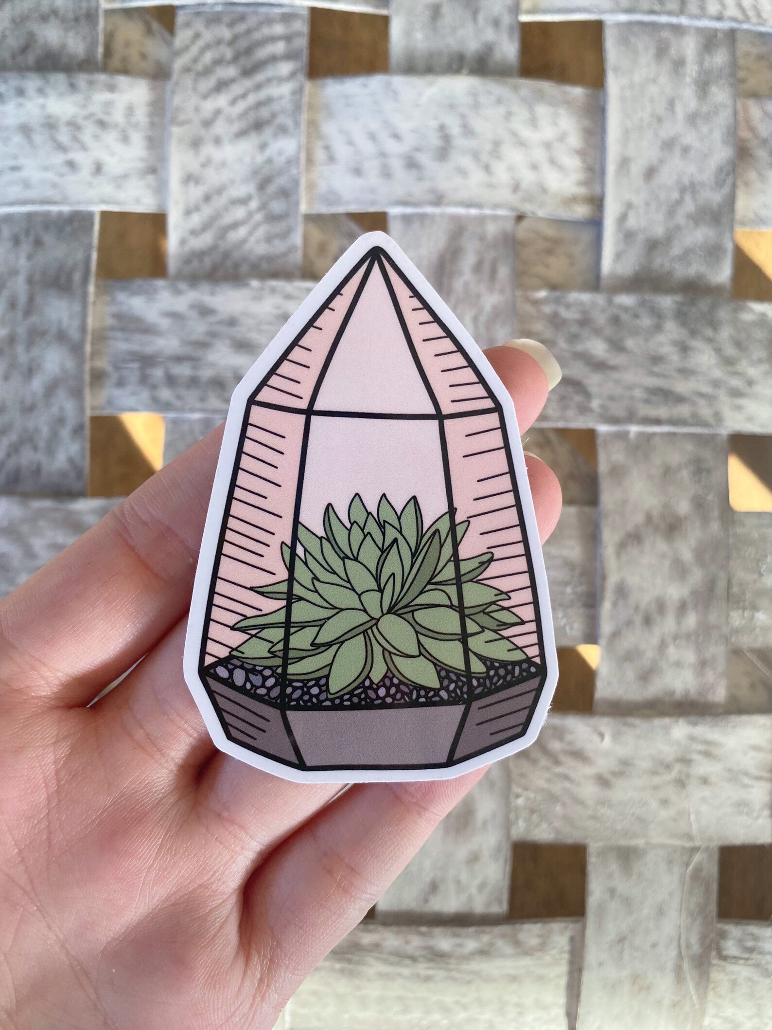 Plant Sticker Set / Water Resistant Vinyl Sticker / Set of 5 - Etsy