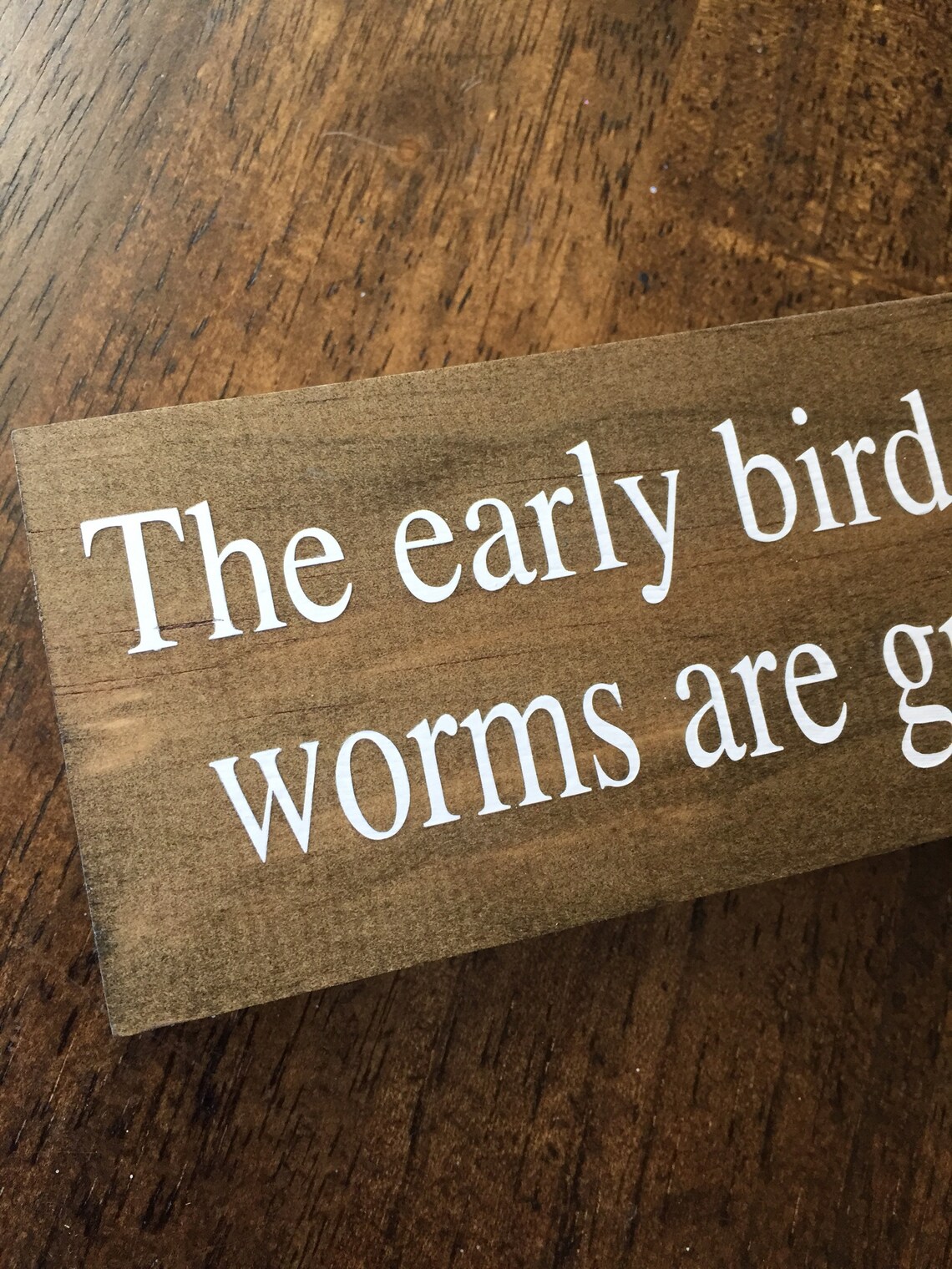 The Early Bird Can Have the Worm / Funny Sign / Funny Office - Etsy