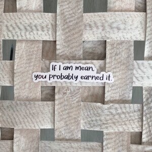 If I Am Mean, You Probably Earned It Sticker / Water Resistant Vinyl ...