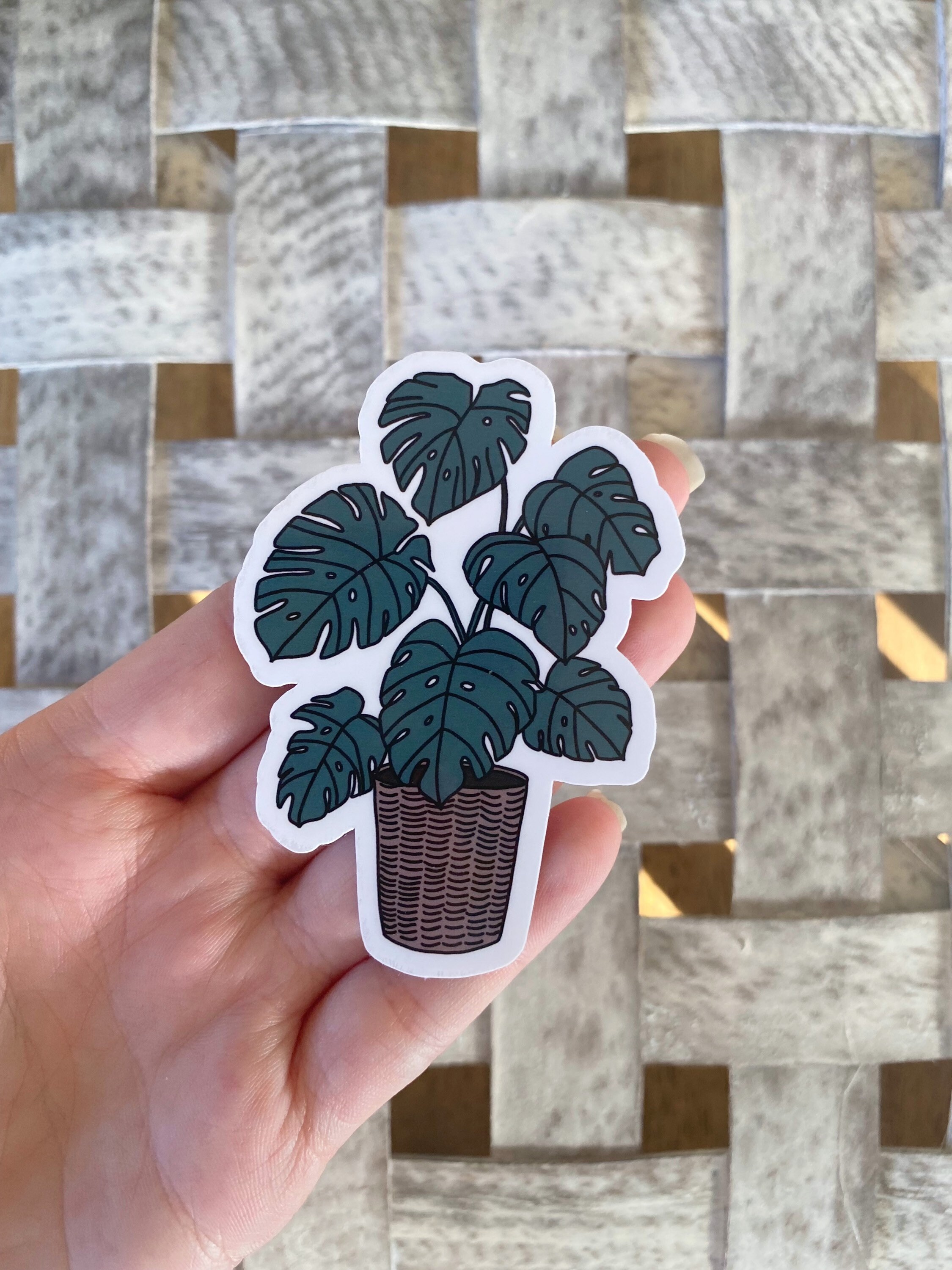 Plant Sticker Set / Water Resistant Vinyl Sticker / Set of 5 - Etsy