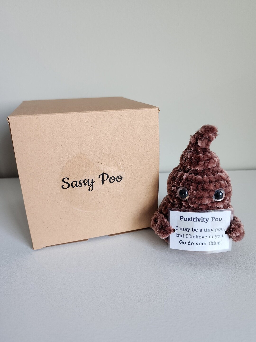 Positivity Poo, Desk Pal, Funny Gift, Encouragement Gift, Unique Gift ...