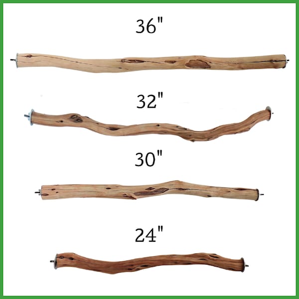 Large Bird Perch Branches - Etsy