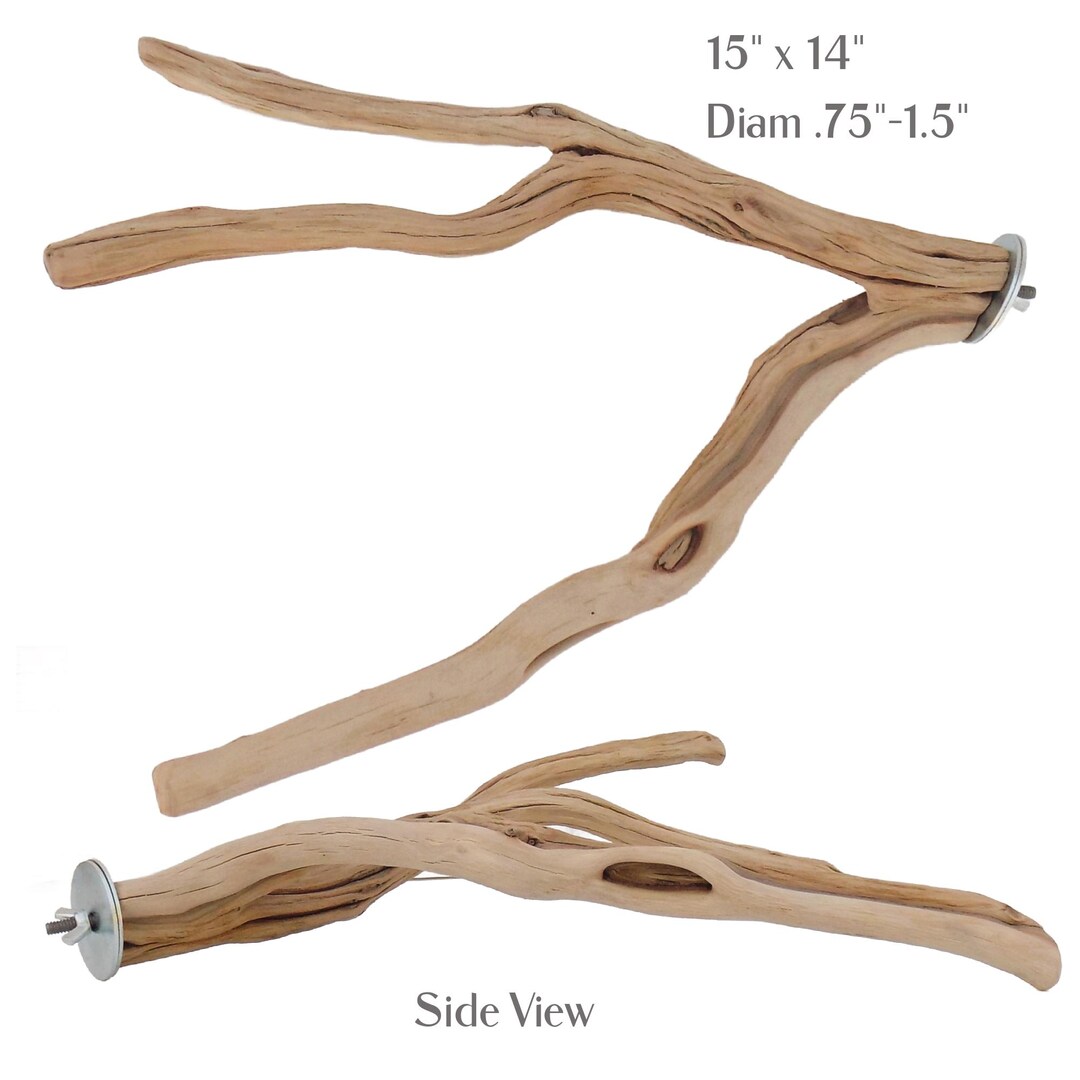 Large Manzanita Parrot Perch for Aviary or Large Cage, 15 X 14 - Etsy