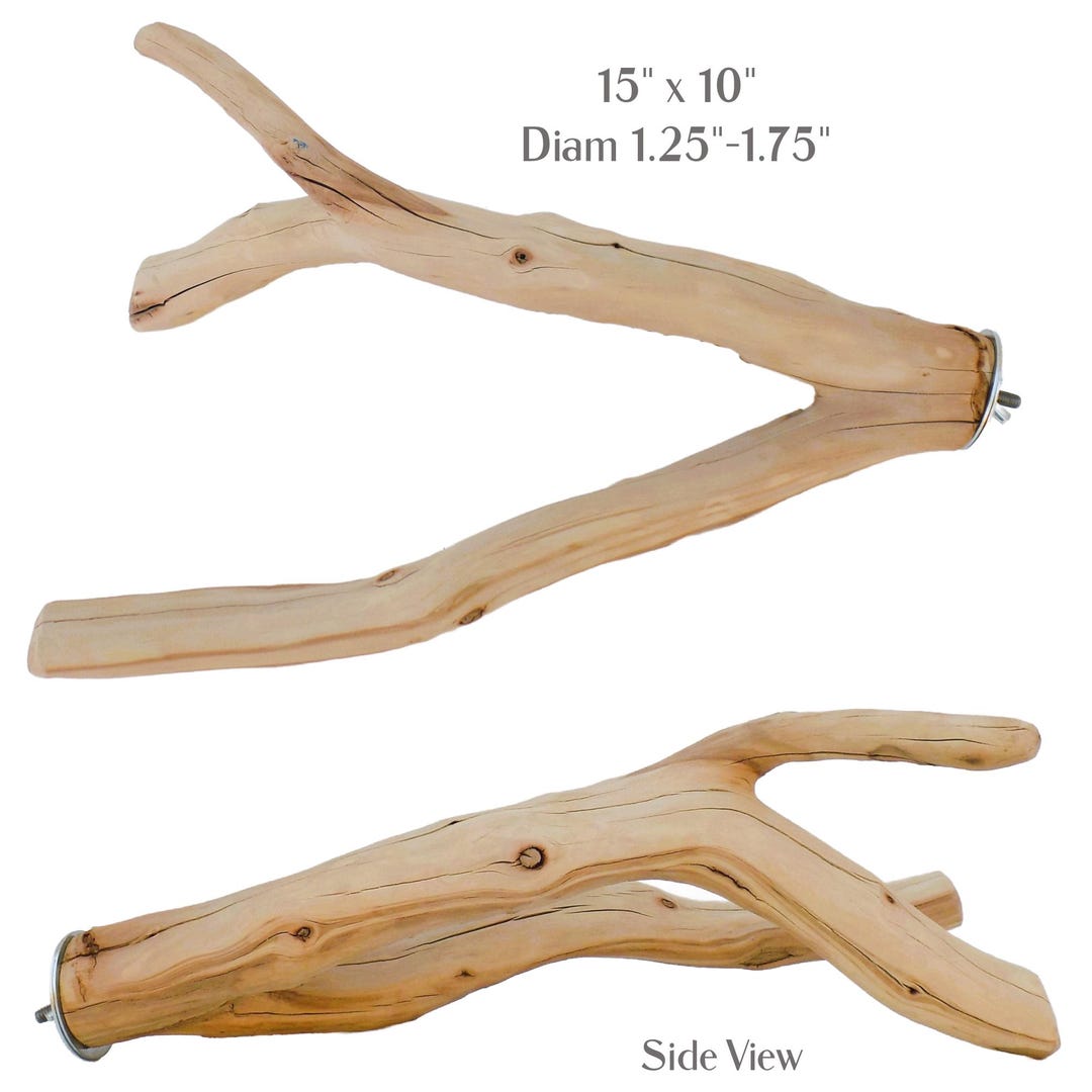 Large Manzanita Parrot Perch for Aviary or Large Cage, 15 X 10 - Etsy