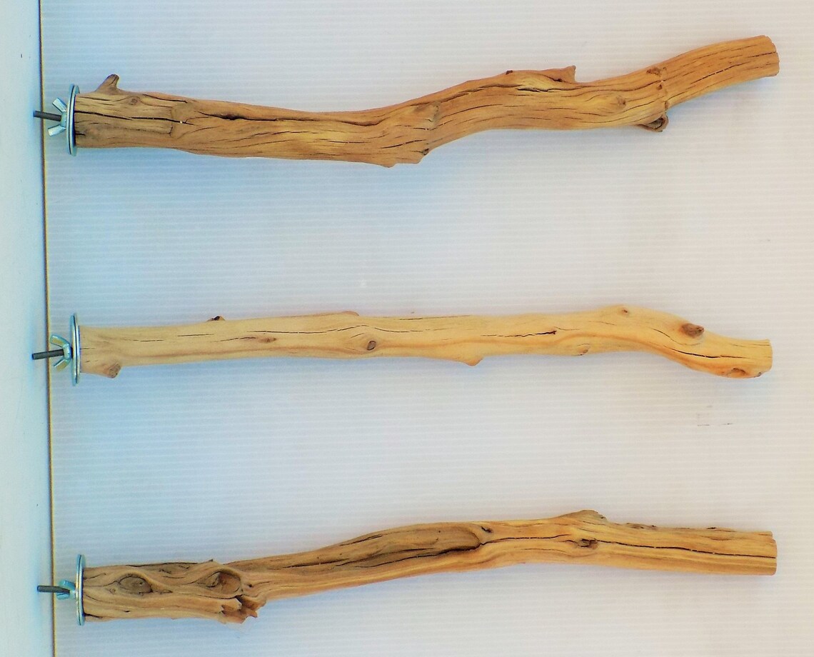 Manzanita Perch Set for Parrots or Reptile Perch 3 Piece Set - Etsy