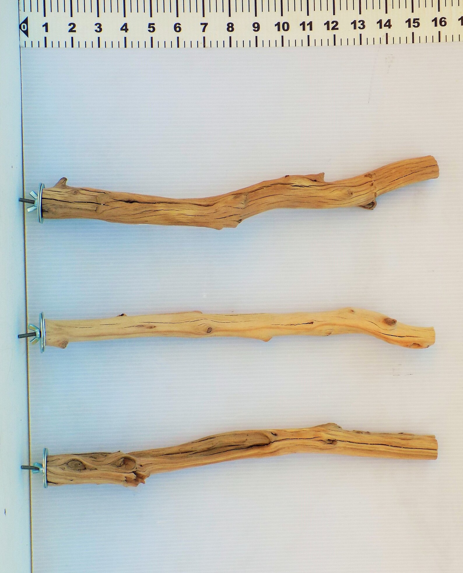 Manzanita Perch Set for Parrots or Reptile Perch 3 Piece Set - Etsy