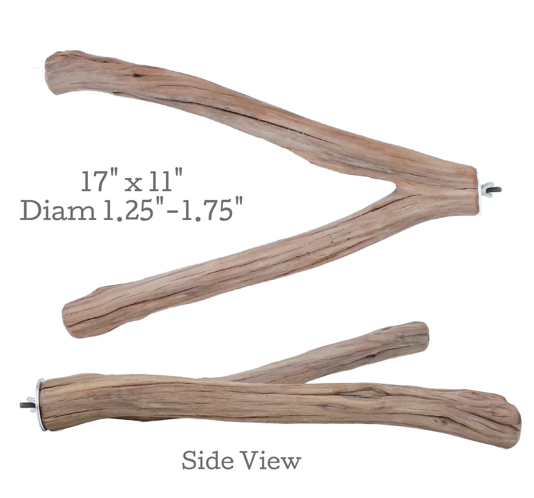 Large Manzanita Parrot Perch for Aviary or Large Cage - Etsy