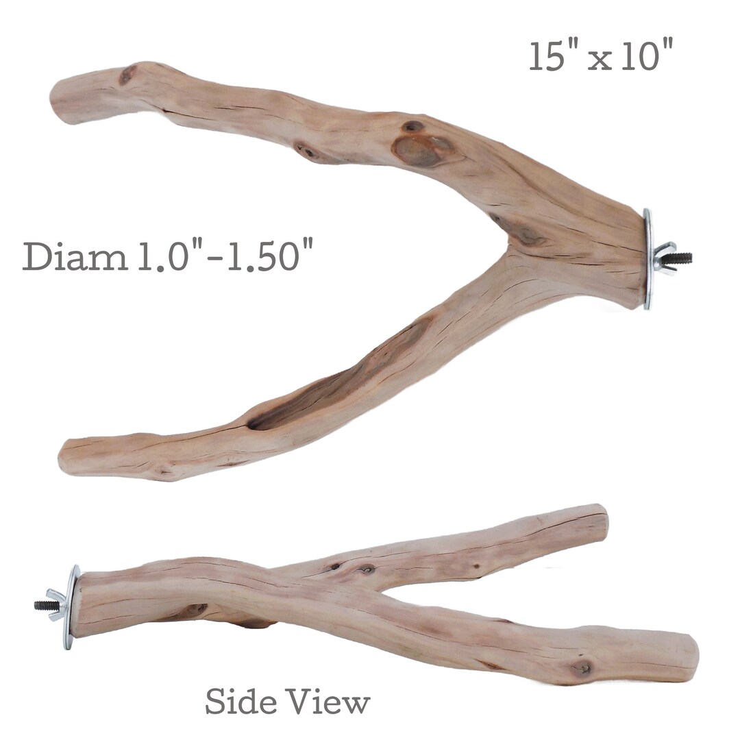 Large Manzanita Parrot Perch for Aviary or Large Cage - Etsy