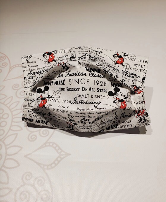 Face Mask COVER, For Ear Looped Masks, Washable Mask Cover