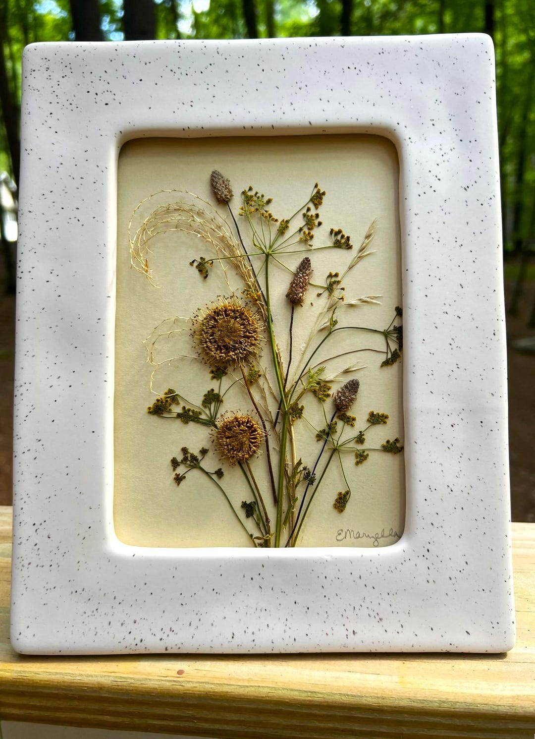Real Pressed Flower Art: Natural Flora From Wildflower Meadows on ...